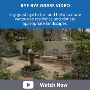 Turf Replacement Program – English – SoCal Water$mart